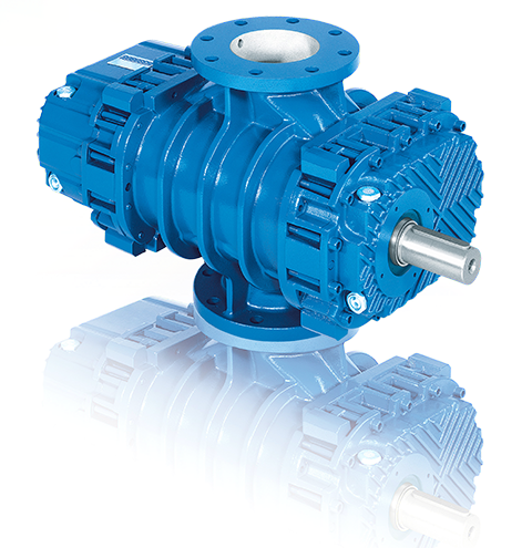 Robuschi Chile - Sobitec